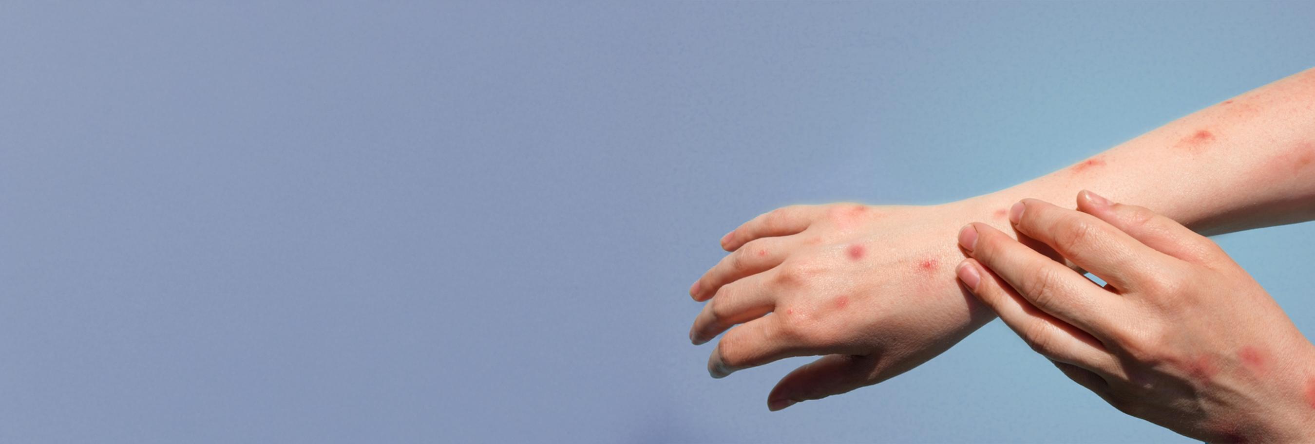 Homepage | Emirates Health Services - UAE